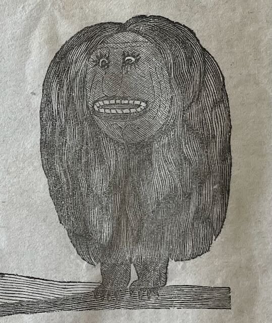 For Future Generations: Indigenous Materials in the Archives | Penn Libraries